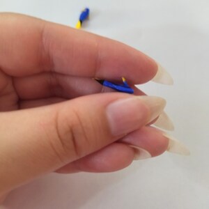 Miniature Fish - Miniature Blue Tang - Blue Tang - Miniature - Fairy ...