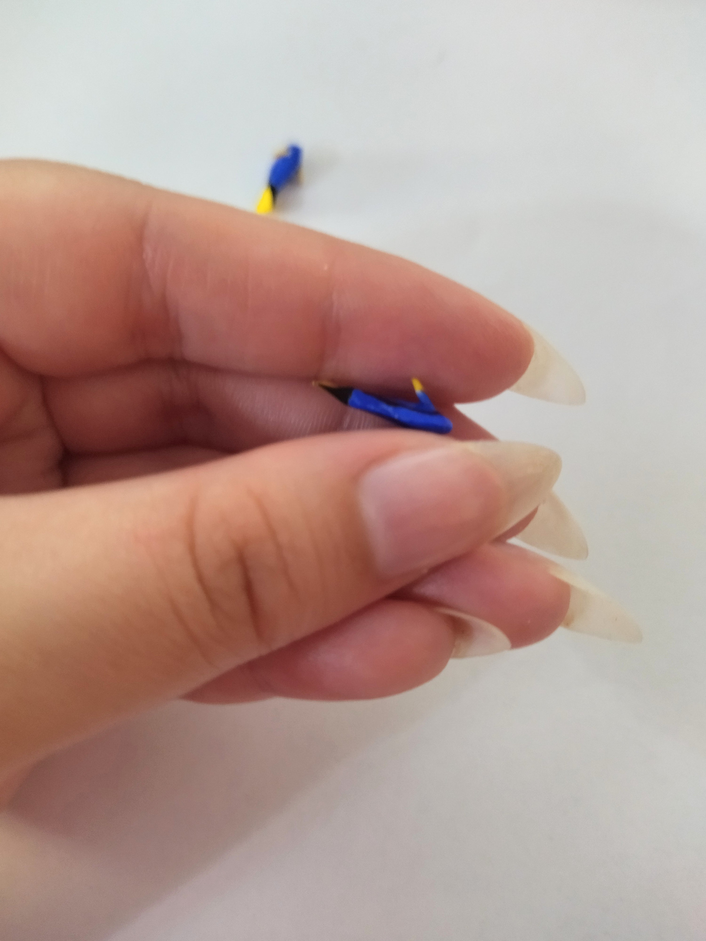 Miniature Fish - Miniature Blue Tang - Blue Tang - Miniature - Fairy ...