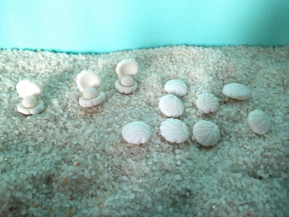Miniature Shell Miniature Clam Shell With Pearl Miniature | Etsy