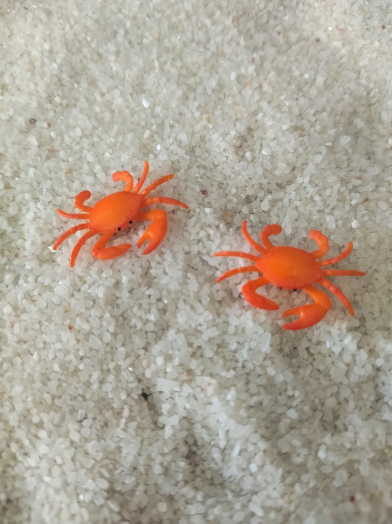 Miniature Crab - Crab - Miniature - Fairy Garden - Fairy Garden Fish ...