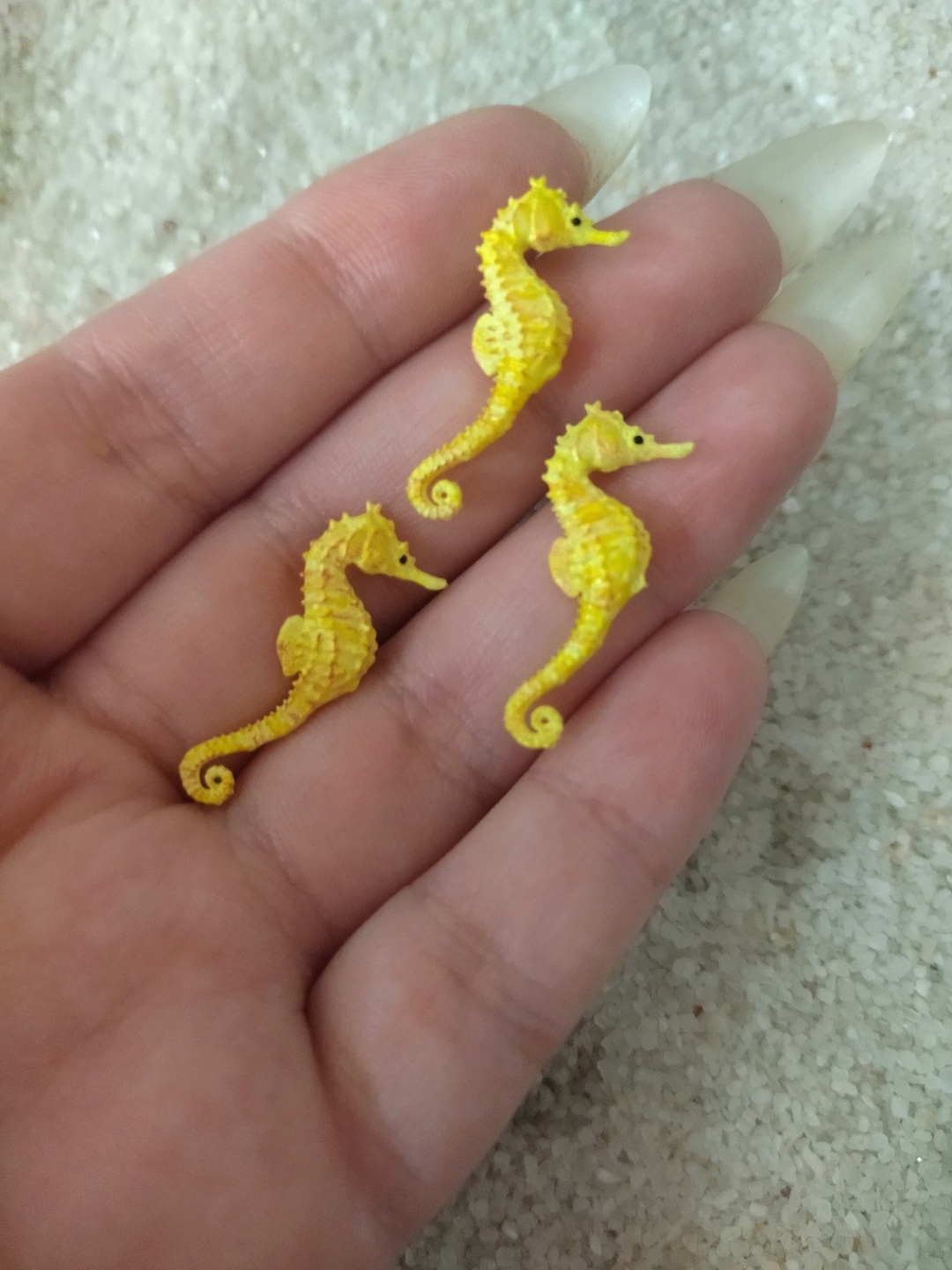 Miniature Seahorse - Seahorse - Miniature - Fairy Garden - Fairy Garden ...