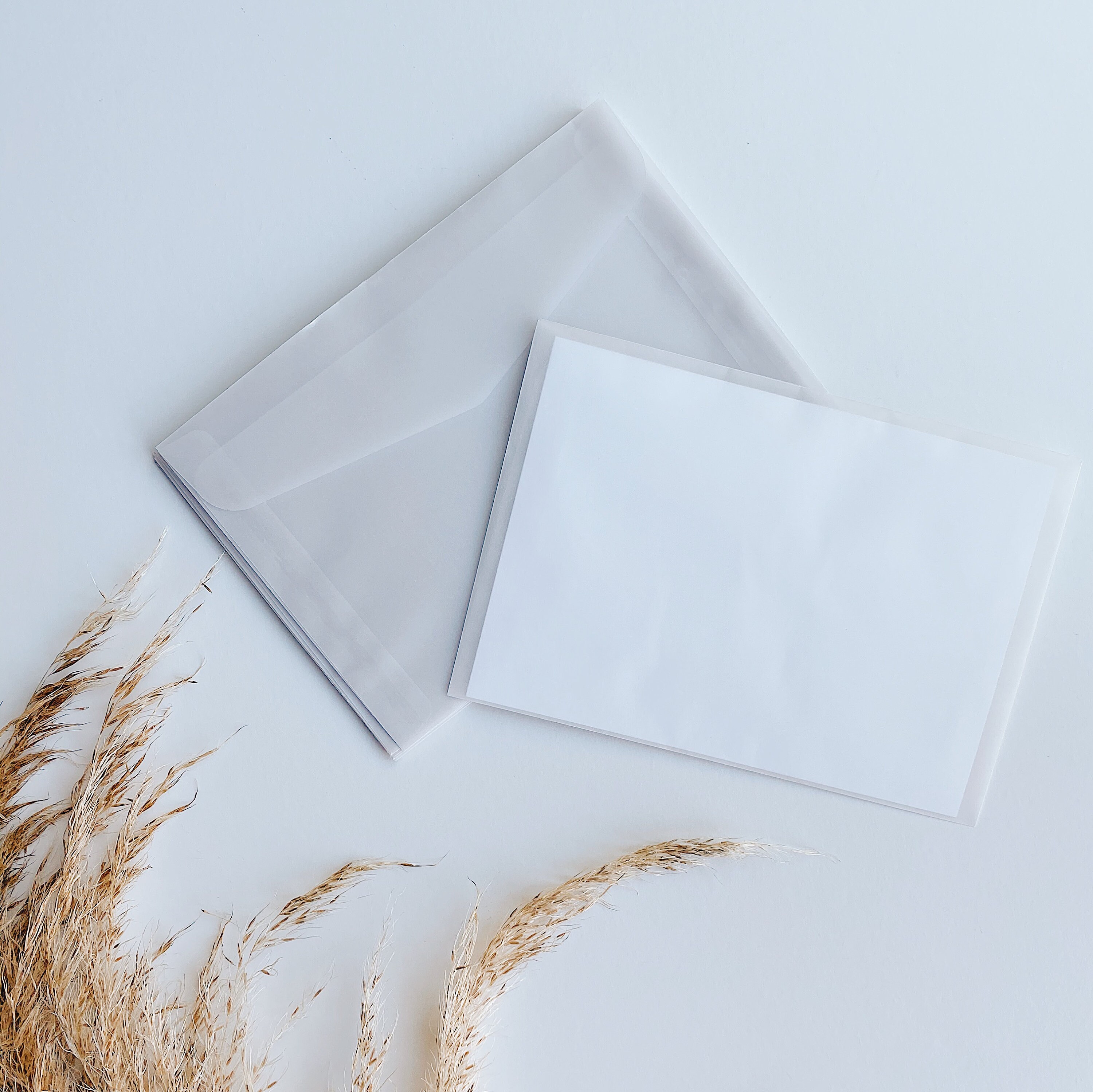 Vellum Envelope Translucent Envelope 10 PACK 3 Sizes | Etsy