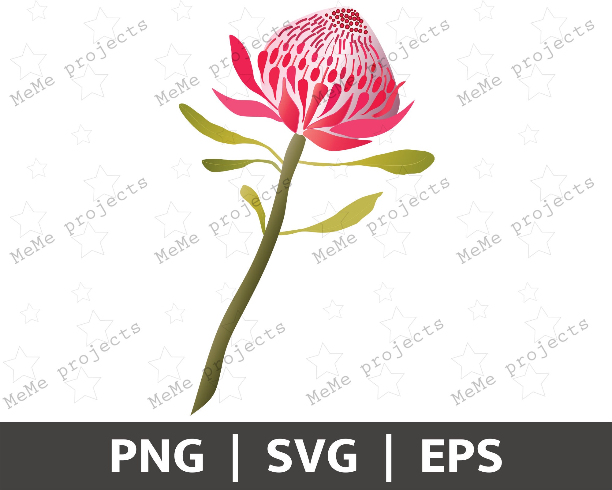Australian Waratah Wildflower Wildflowers SVG PNG EPS - Etsy Australia