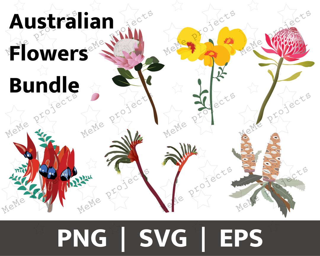 Australian Flowers Pack | Wildflowers SVG Png | Australian Flowers SVG ...