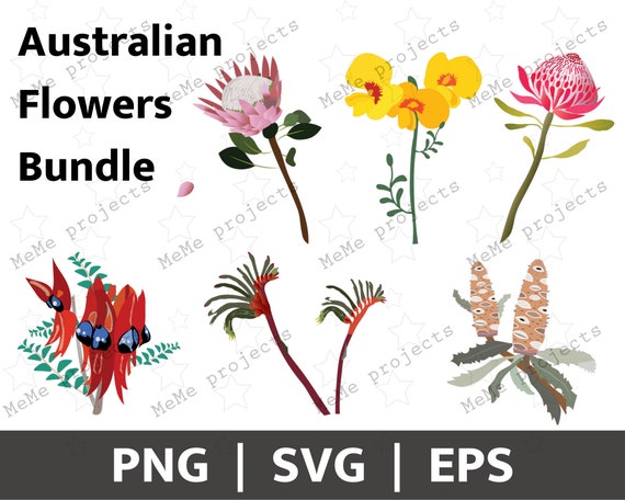 Australian Flowers Pack Wildflowers SVG Png Australian | Etsy