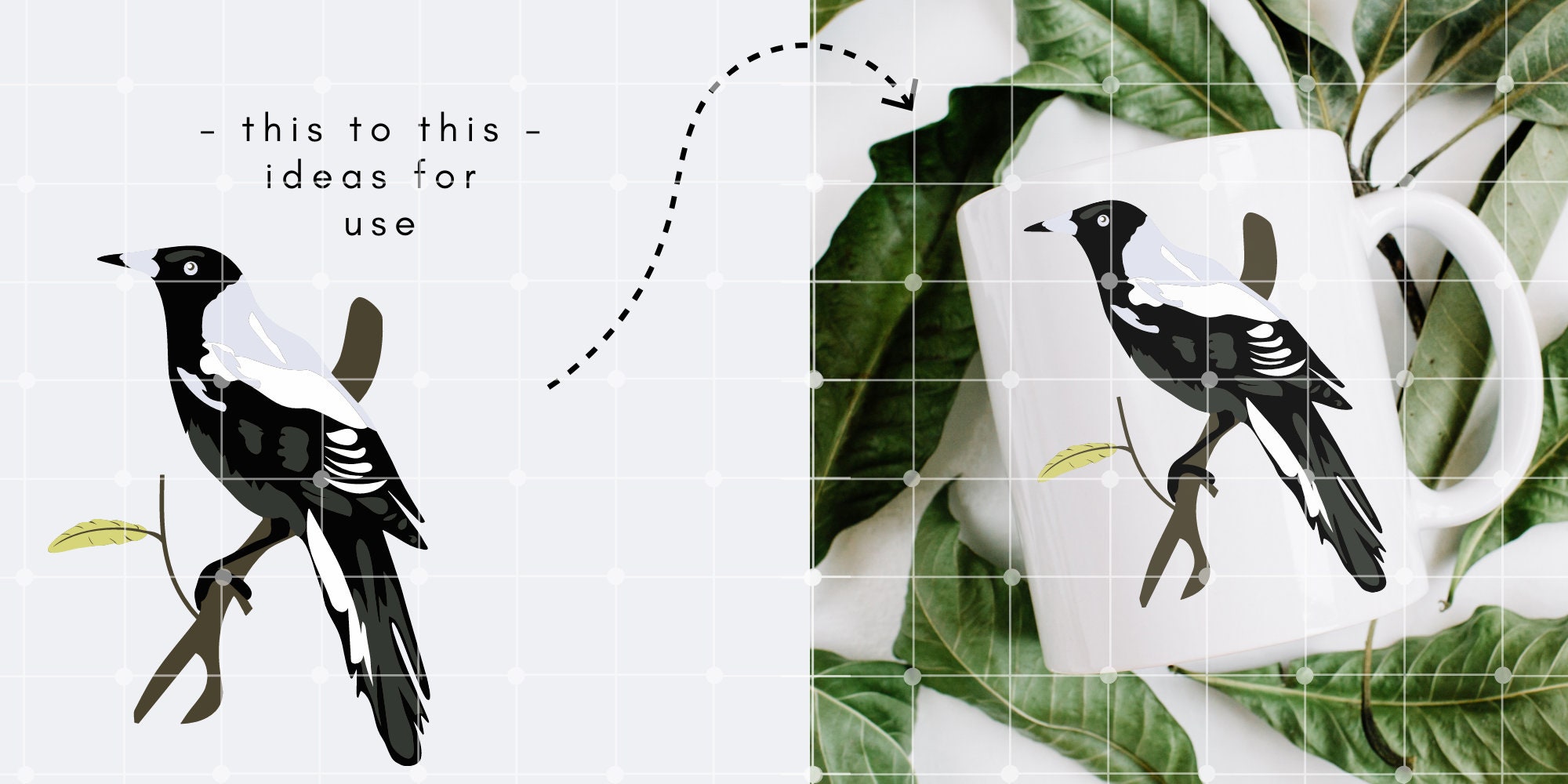 Australian Magpie Clipart: SVG, PNG, DFX (digital Download) - Etsy