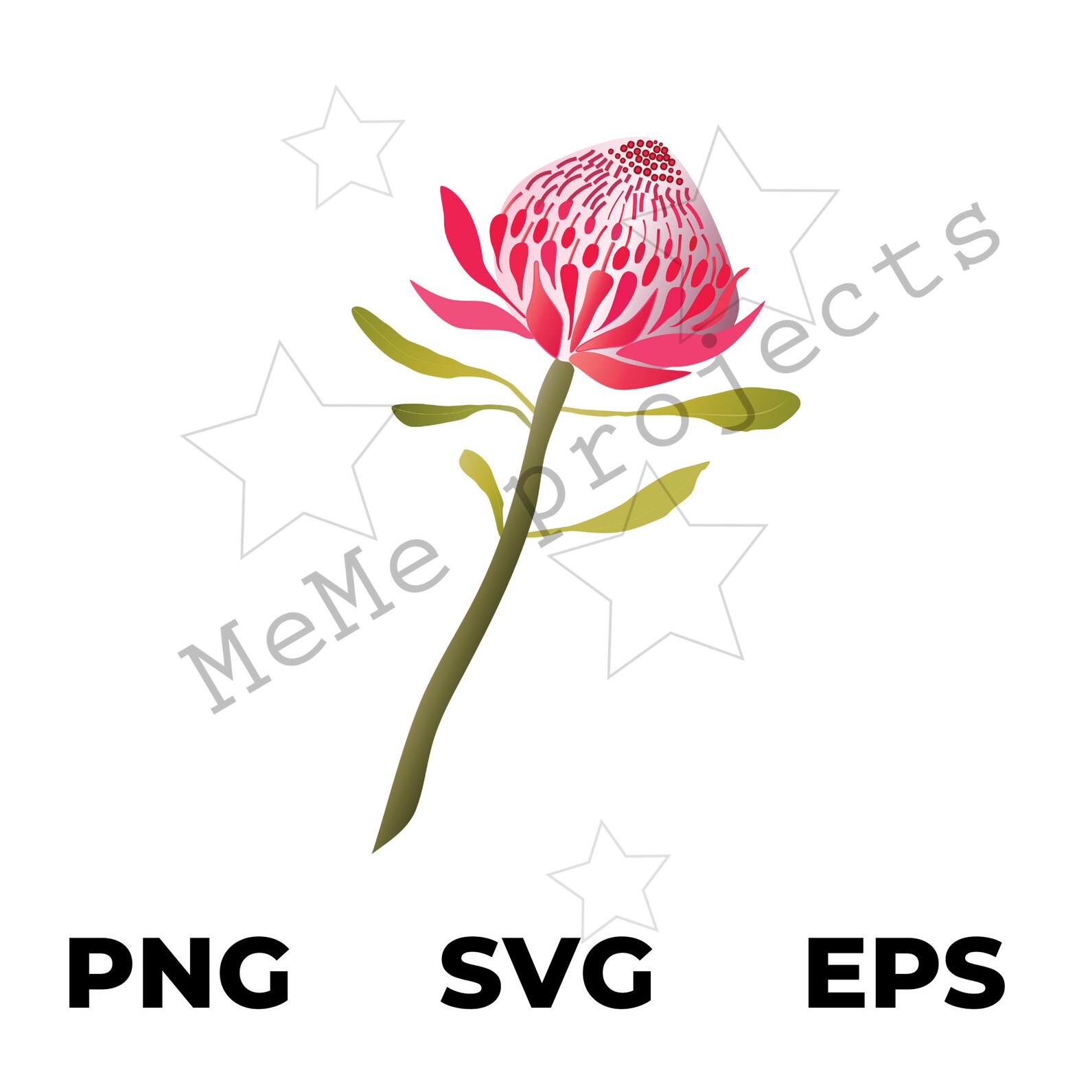 Australian Flowers Pack Wildflowers SVG Png Australian - Etsy