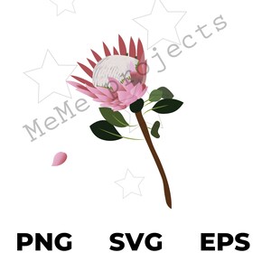 Australian Flowers Pack | Wildflowers SVG Png | Australian Flowers SVG ...