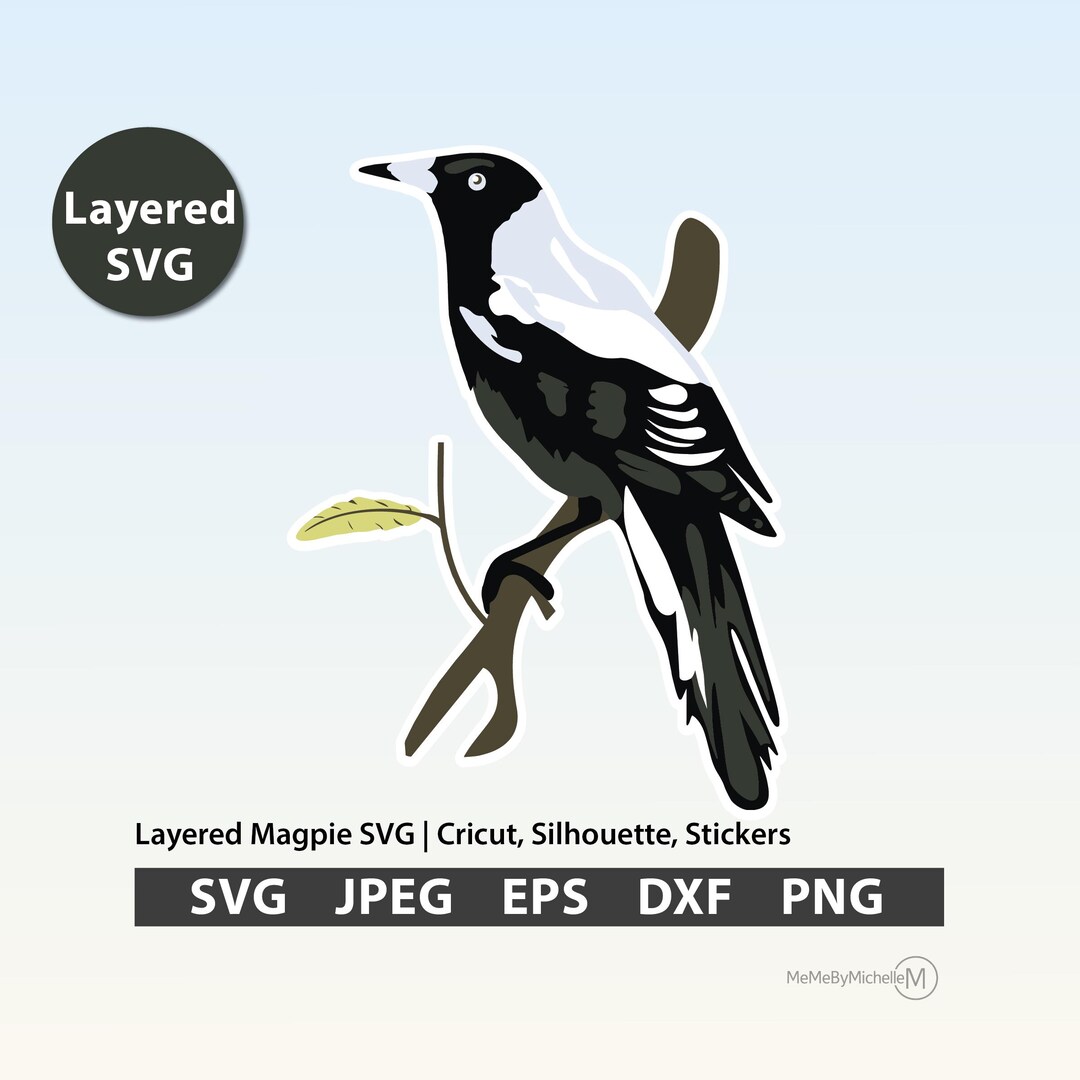 Australian Magpie SVG | Layered Bird Clipart | Cricut & Silhouette SVG ...