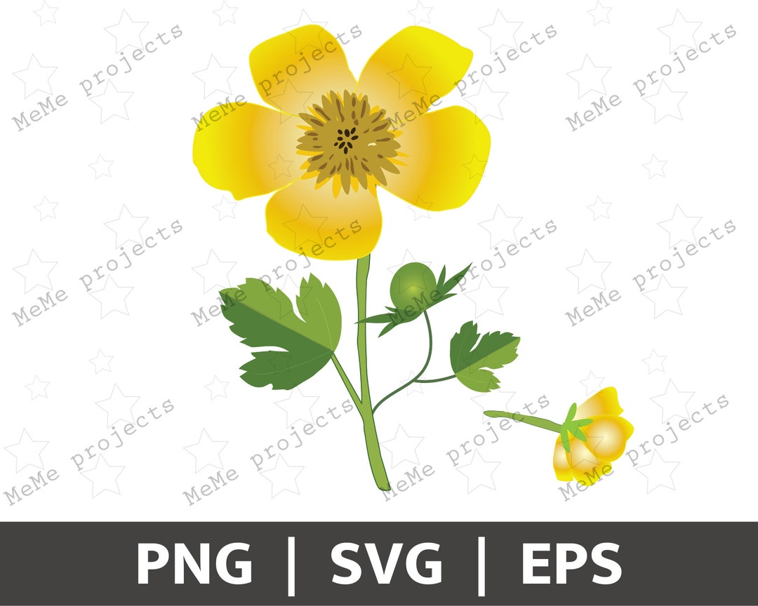 Australian Buttercup | Buttercup Cricut | Buttercup SVG | Australian ...