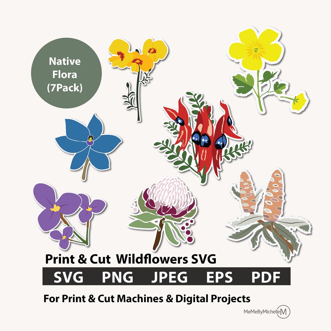 Australian Wildflower SVG Bundle: Layered Native Flower Clipart - Etsy