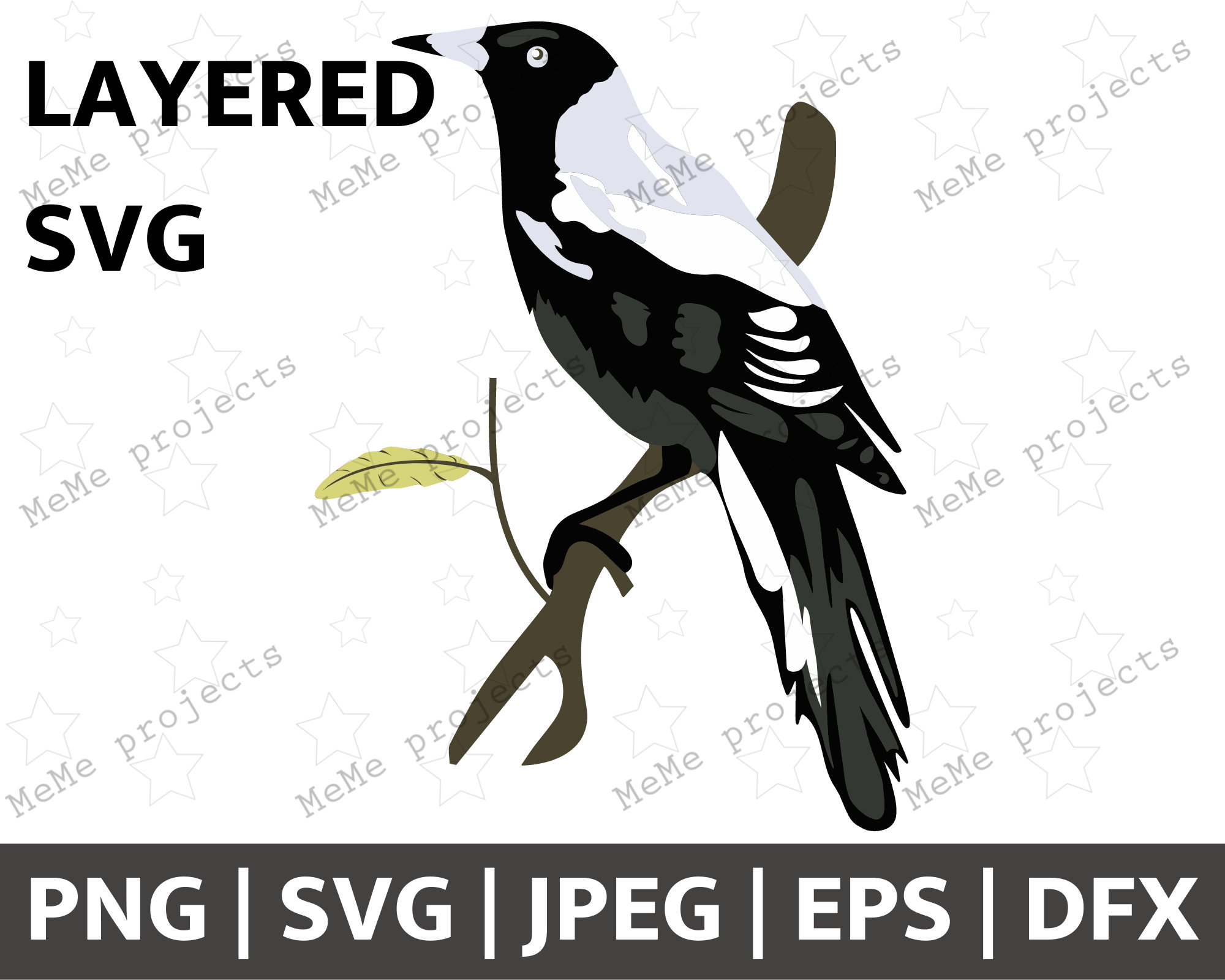 Australian Magpie Clipart: SVG, PNG, DFX (digital Download) - Etsy