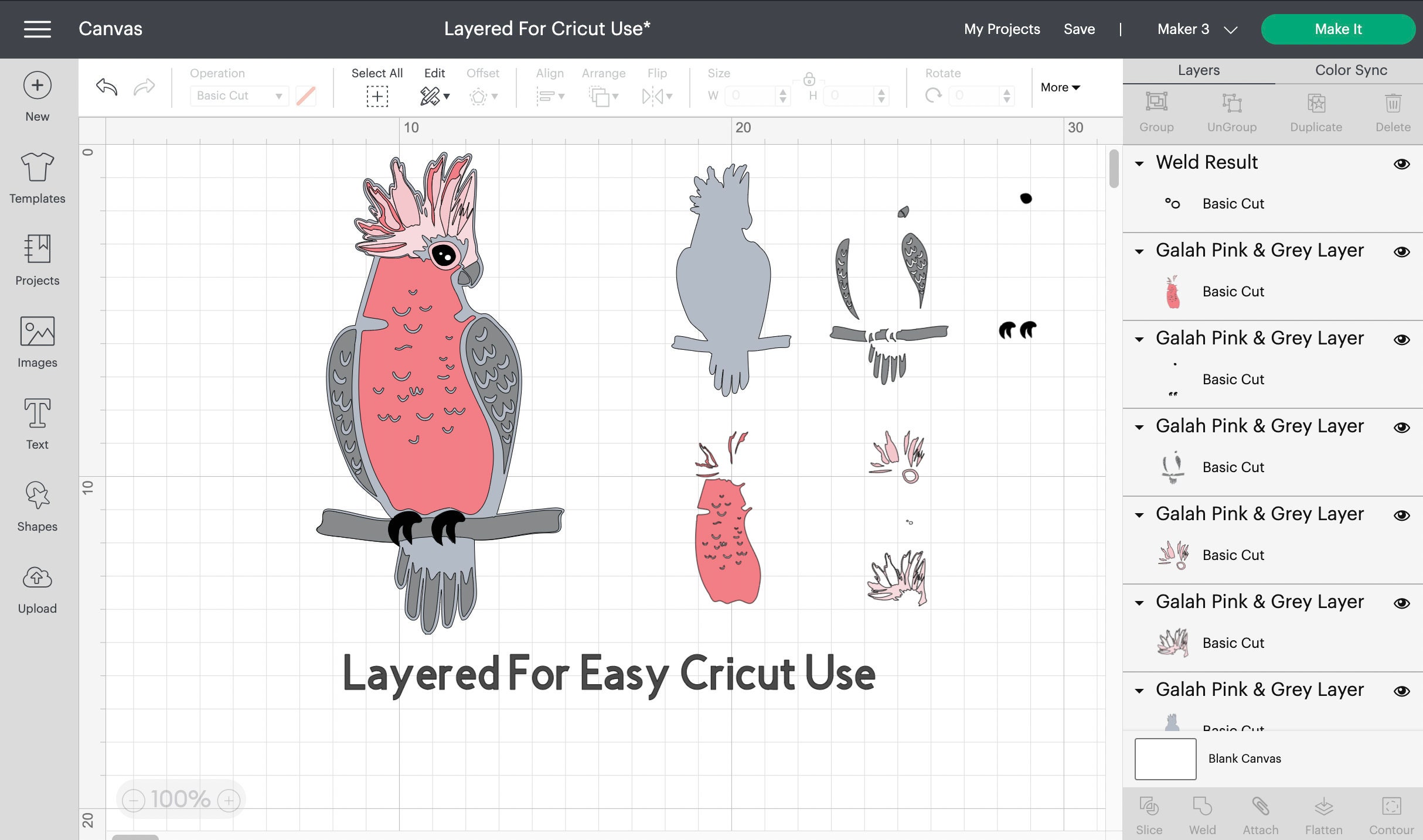 Australian Bird Bundle Galah Cockatoo Magpie - Etsy