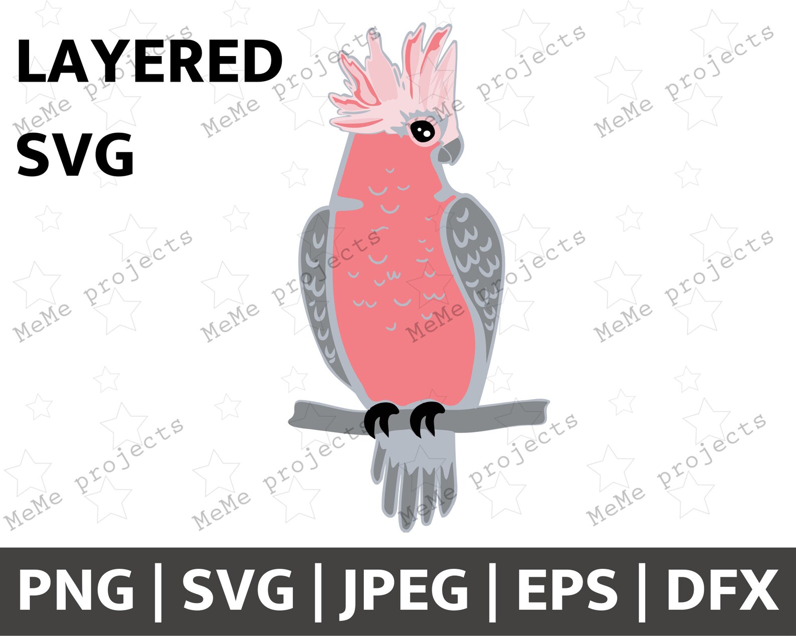 Australian Bird Bundle Galah Cockatoo Magpie - Etsy