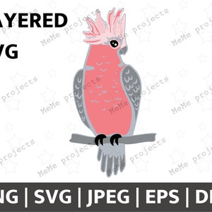 Australian Bird Bundle | Galah | Cockatoo | Magpie | Kookaburra ...