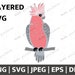 Australian Bird Bundle Galah Cockatoo Magpie Kookaburra Layered Birds ...
