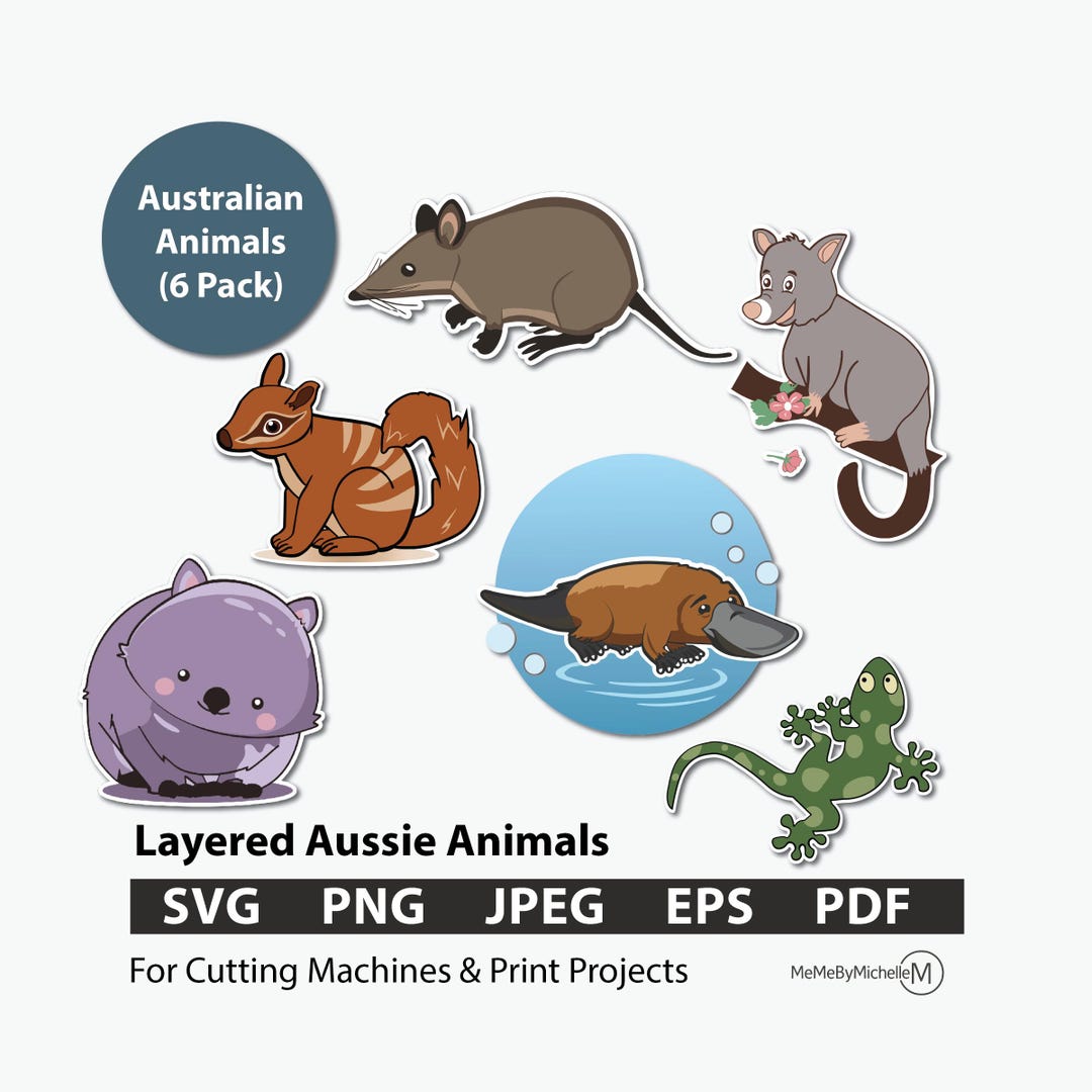 Australian Animals SVG Bundle: Possum, Numbat, Gecko, Platypus (digital ...