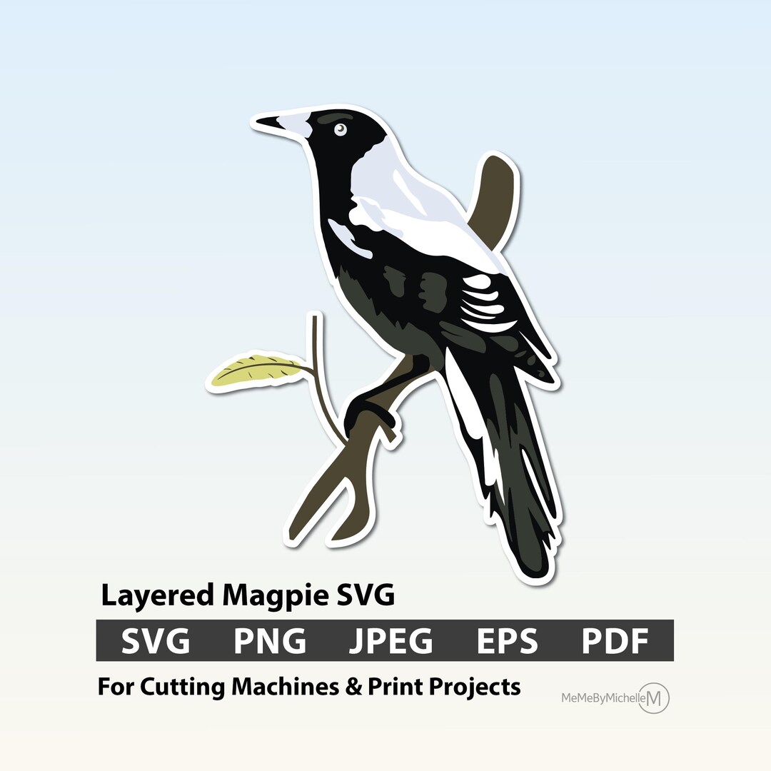 Australian Magpie SVG: Bird Clipart for Cricut & Silhouette - Etsy UK