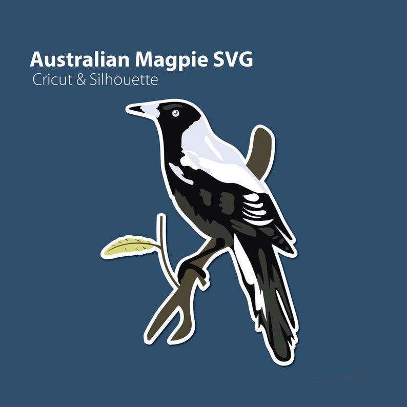 Magpie SVG | Australian Bird Cut File | Cricut & Silhouette Digital ...