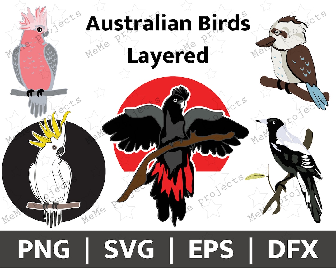 Australian Bird Bundle | Galah | Cockatoo | Magpie | Kookaburra ...