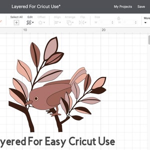 Layered Bird SVG: Australian Animals Clipart (PNG, DFX) - Etsy