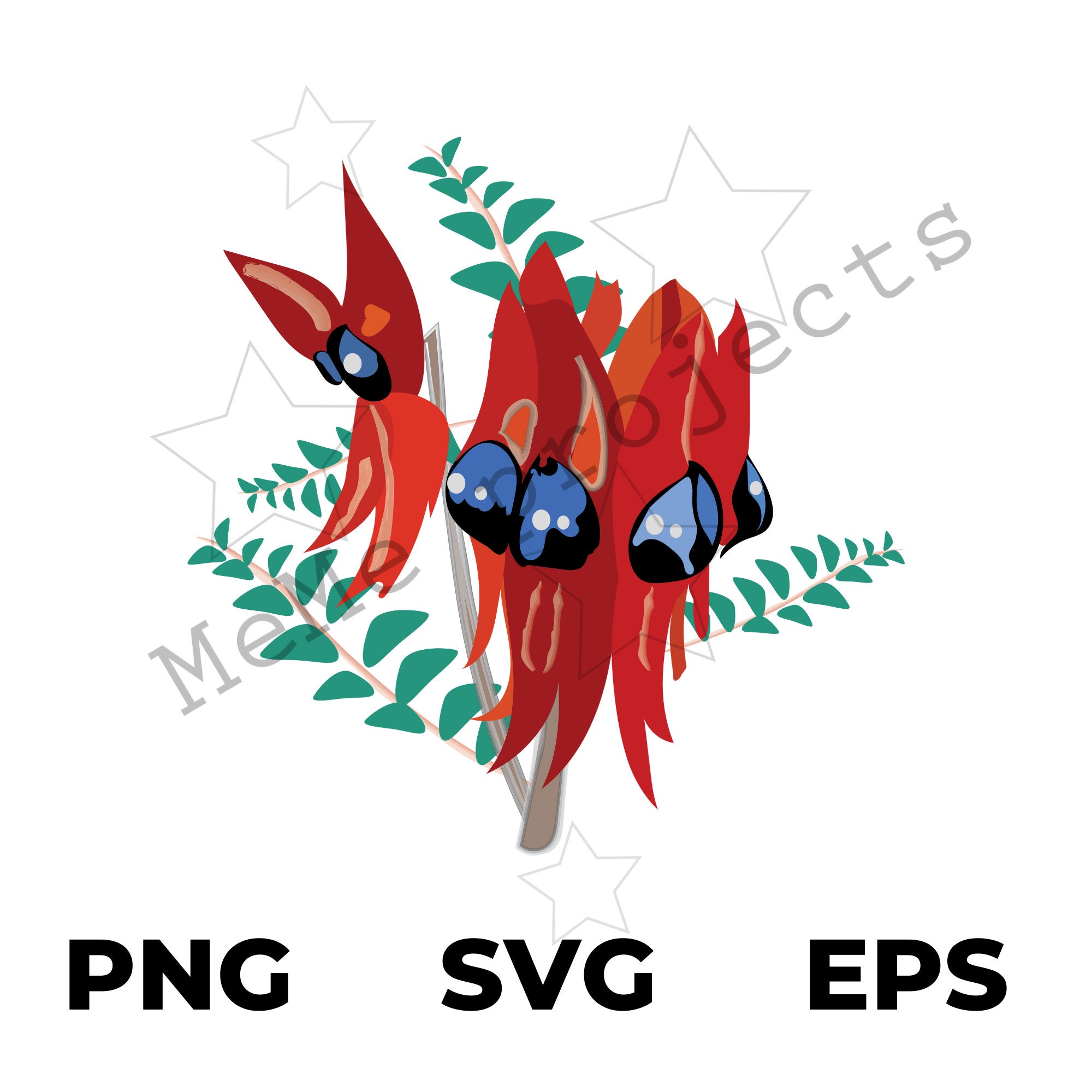 Australian Flowers Pack Wildflowers SVG Png Australian | Etsy