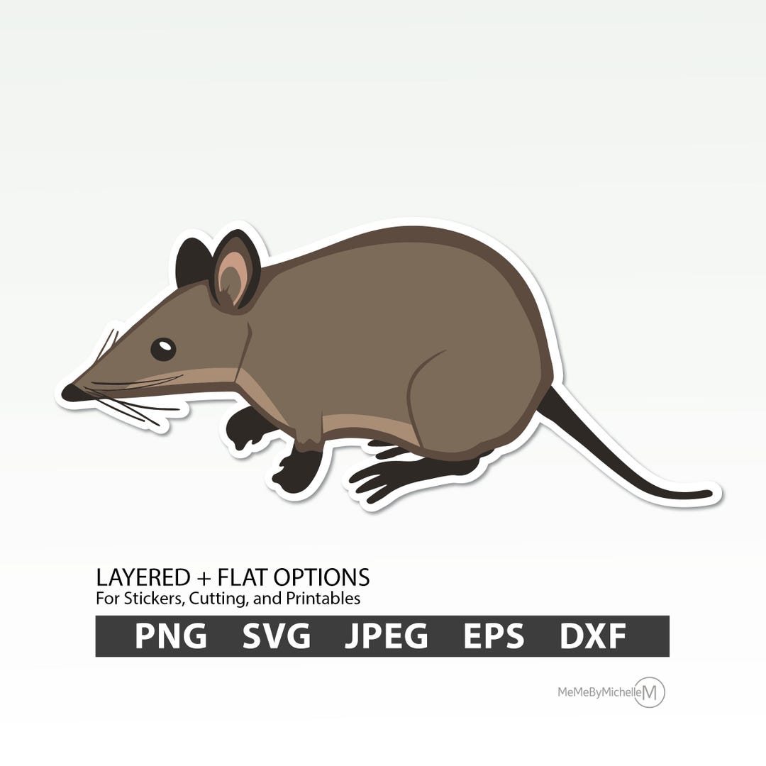 Australian Bandicoot Quenda Svg Png Epss DXF | Cute Wildlife Clipart ...