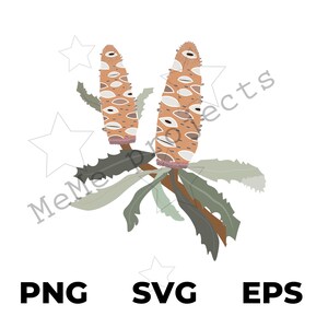 Australian Flowers Pack | Wildflowers SVG Png | Australian Flowers SVG ...