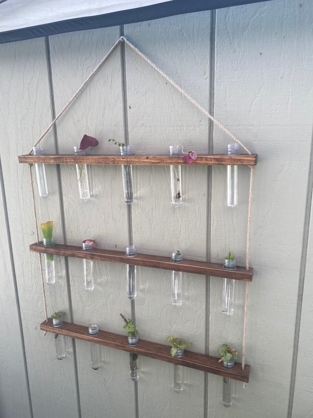 Hanging Propagation Station - Etsy