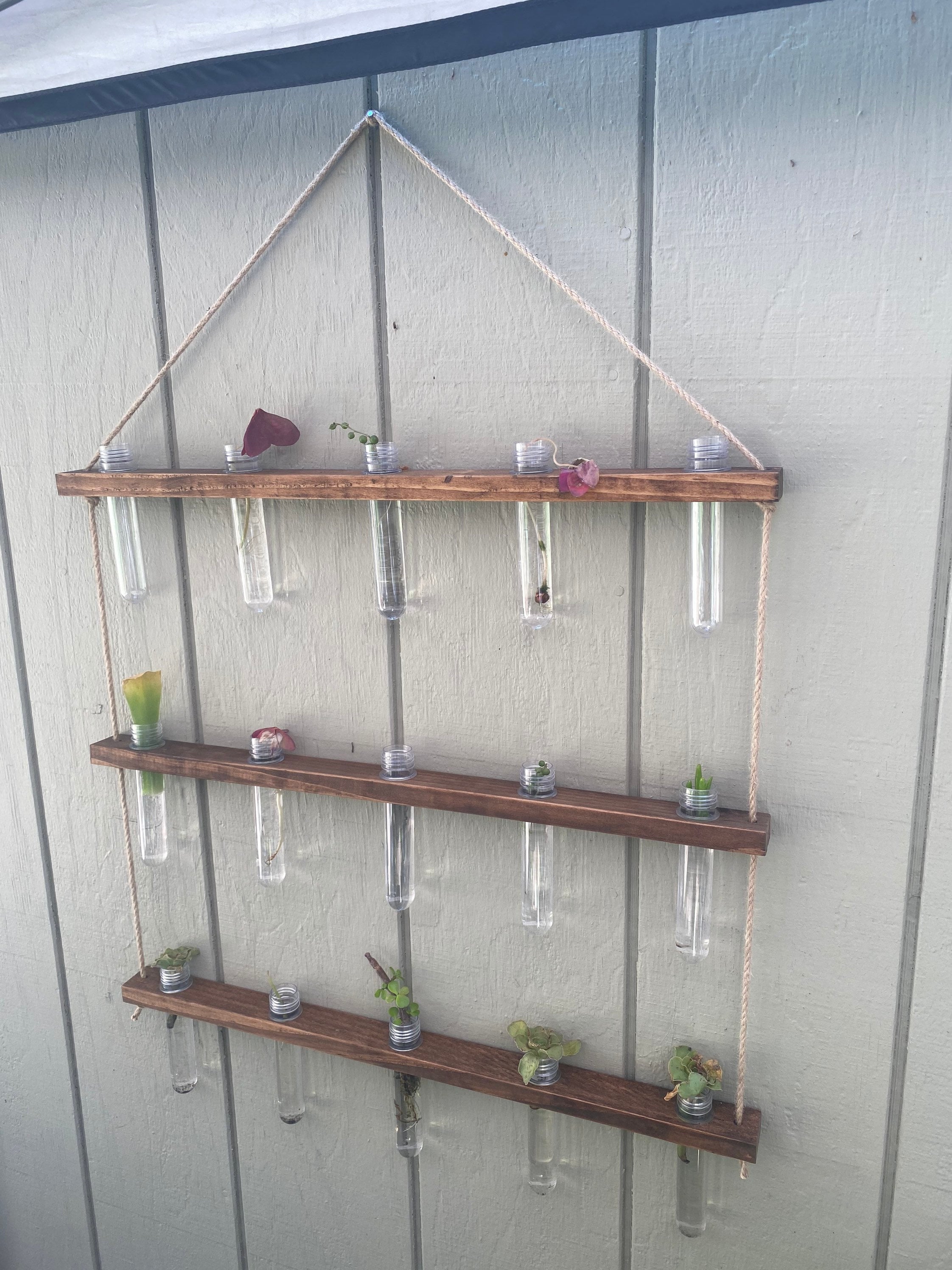 Hanging Propagation Station - Etsy
