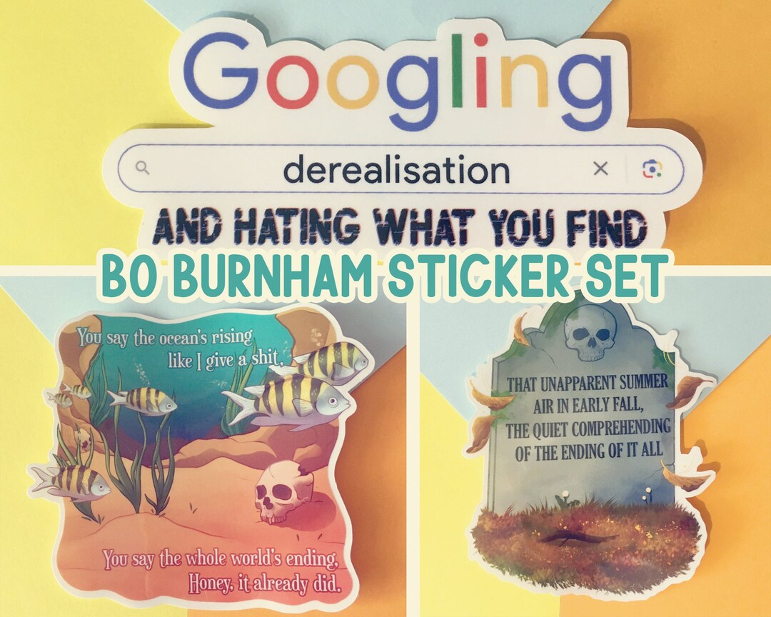 Bo Burnham Sticker Set Transparent Stickers That Funny Feeling / All ...