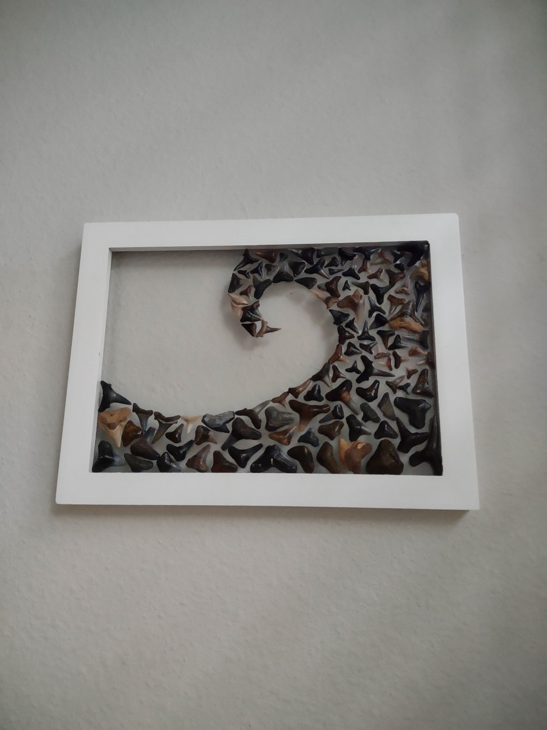Framed Shark Teeth Wave - Etsy