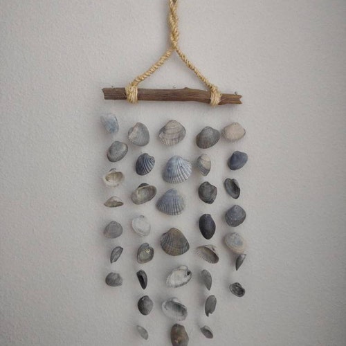 Beach Decor White Bubble Shells 15 Bubble Shell Seashell | Etsy