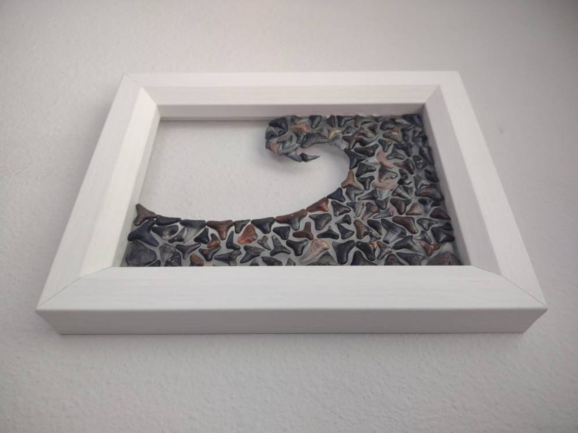 Framed Shark Teeth Wave - Etsy