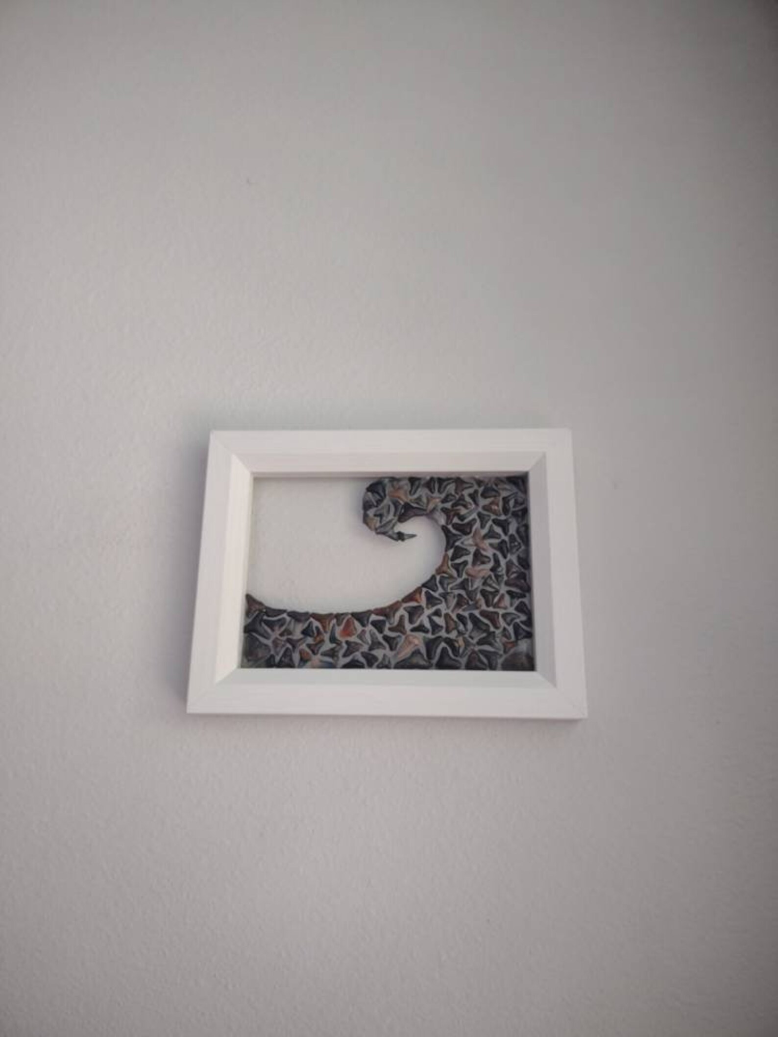 Framed Shark Teeth Wave - Etsy