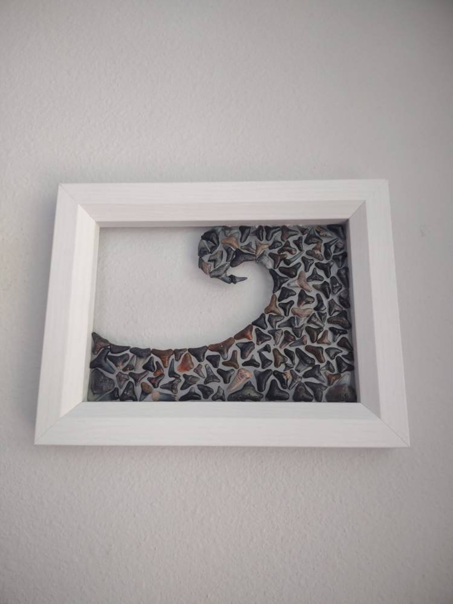 Framed Shark Teeth Wave - Etsy