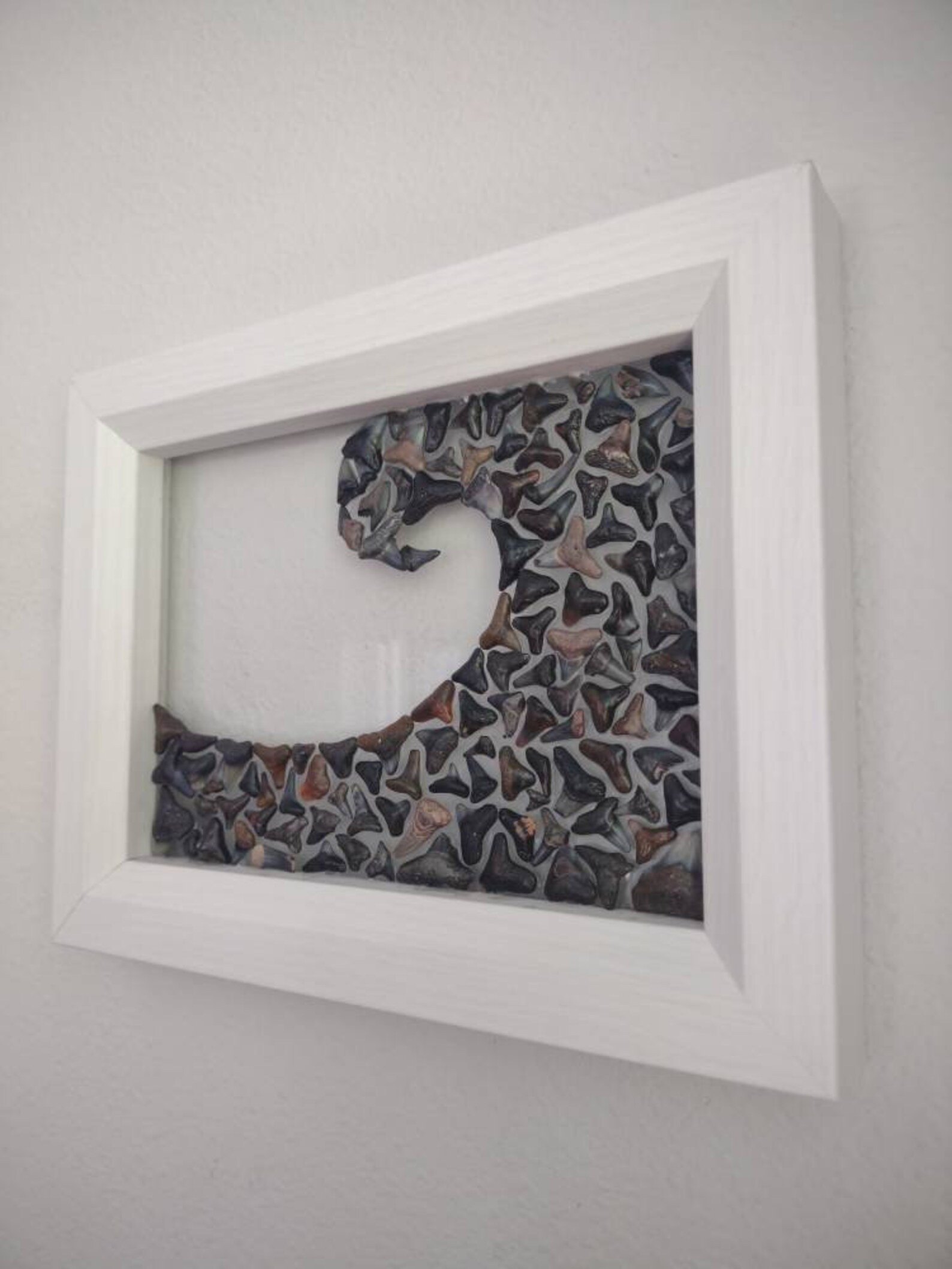 Framed Shark Teeth Wave - Etsy