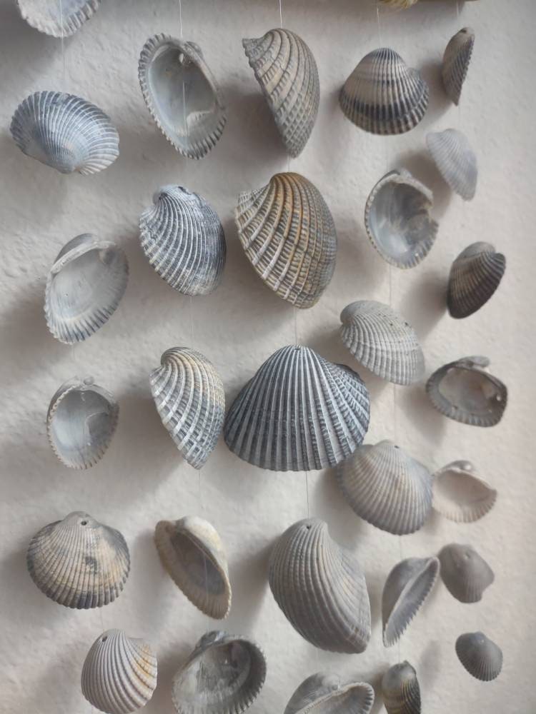 The Blues Seashell Windchimes | Etsy
