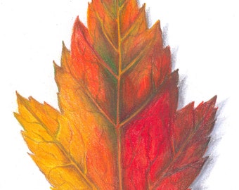 Fall Art Print, falling to the Roadside, Colored Pencil Art, Christmas ...