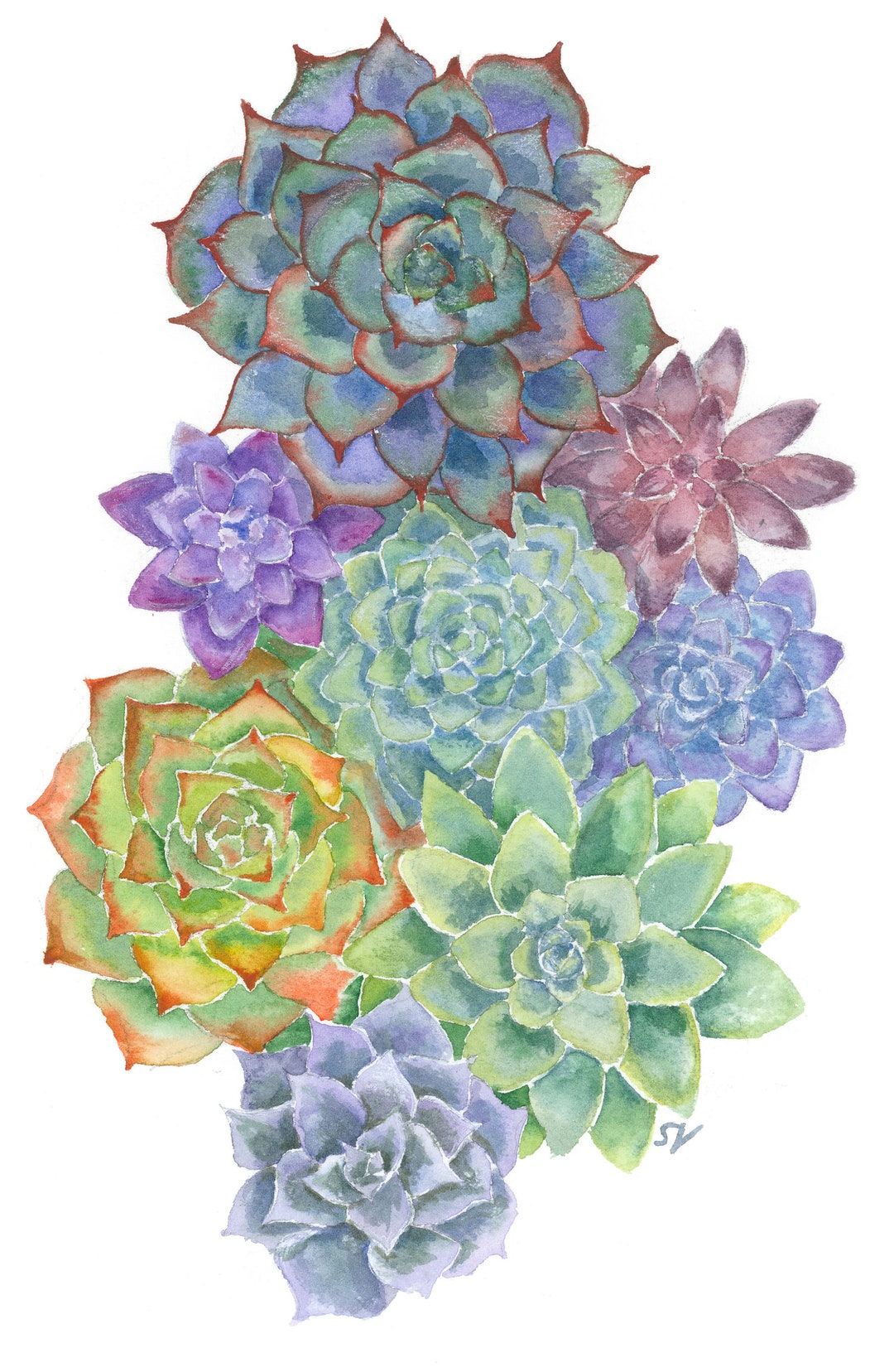 Watercolor Succulents Multi-color Print - Etsy