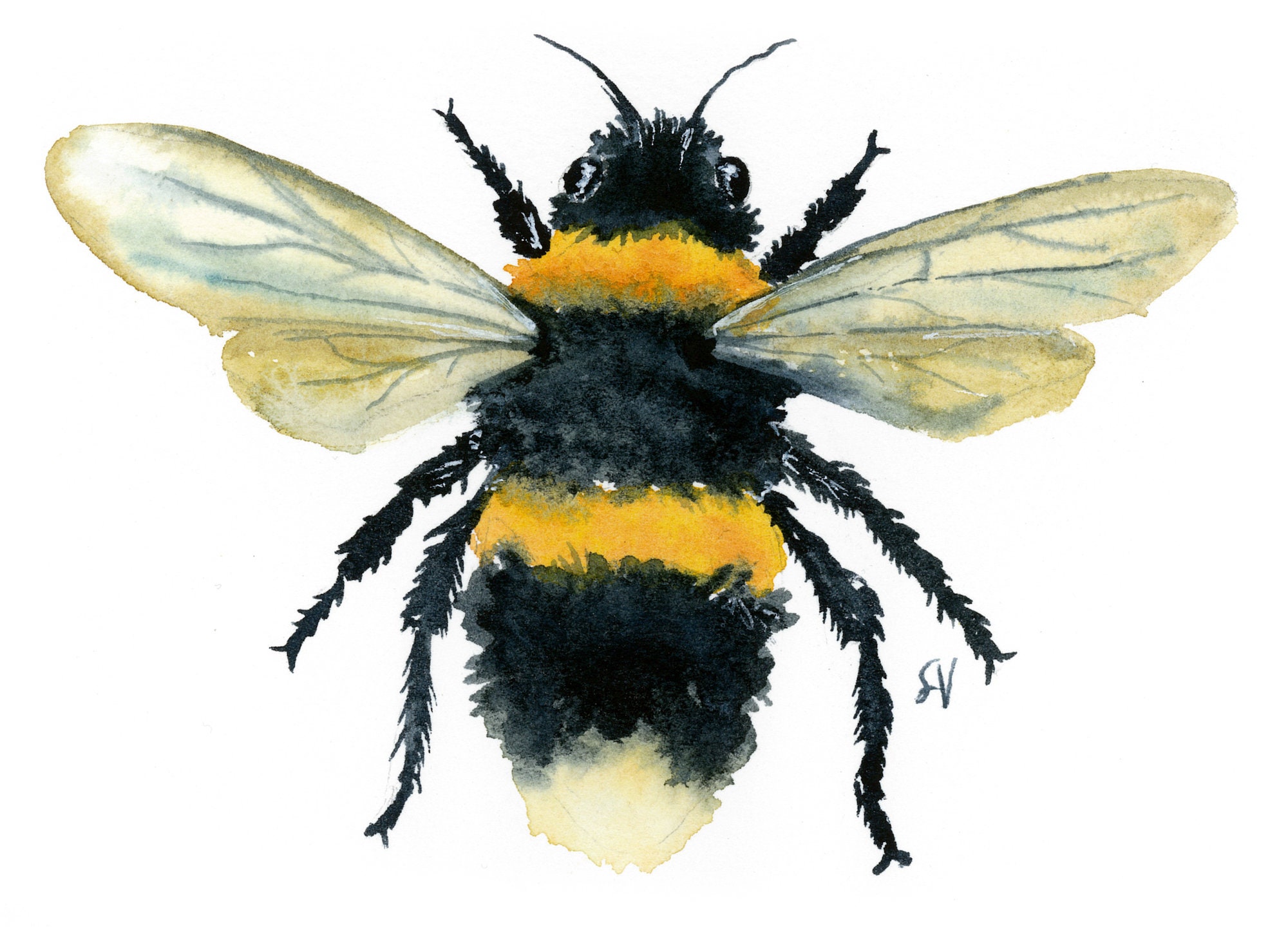Watercolor Bumble Bee Print - Etsy
