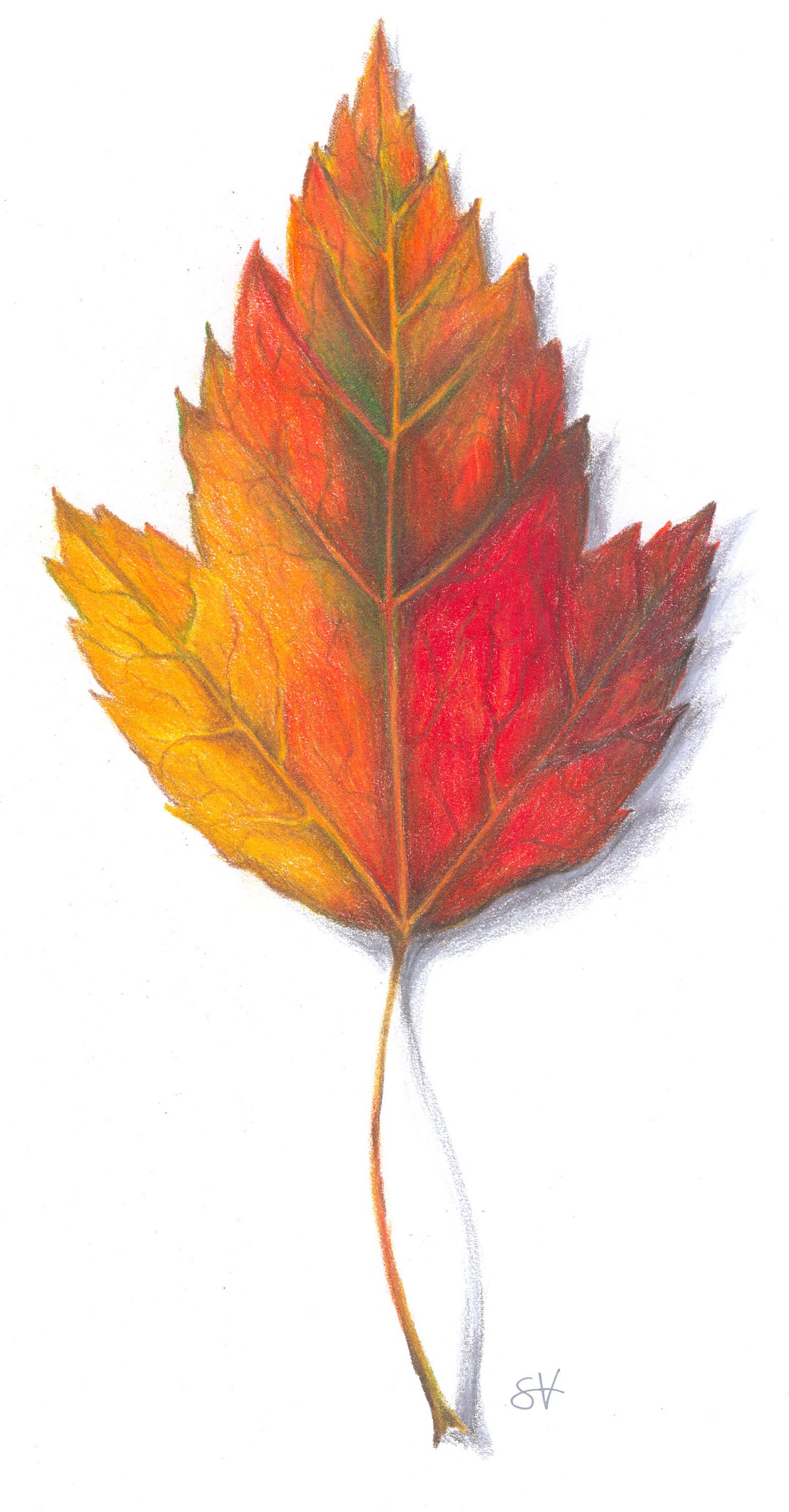 Colored Pencil Fall Leaf Print - Etsy