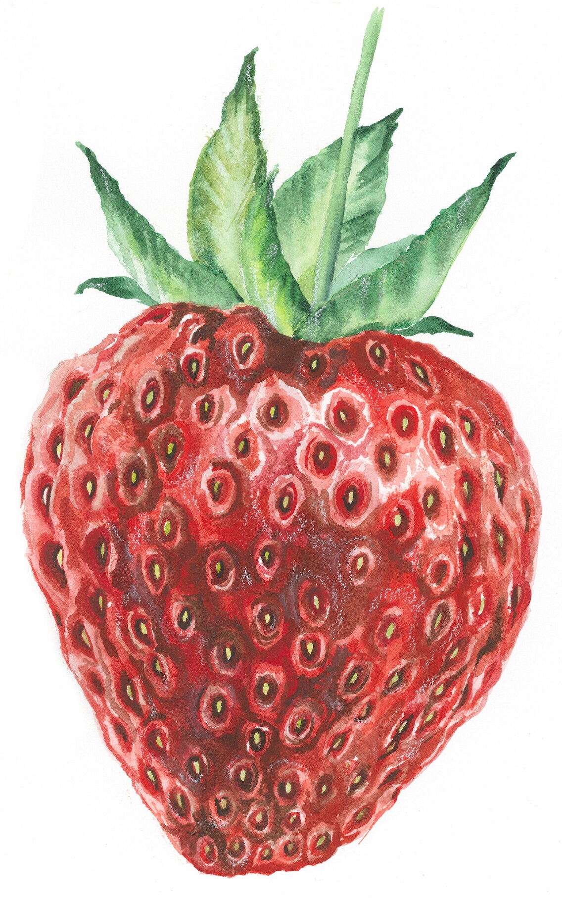 Watercolor Juicy Strawberry Print - Etsy