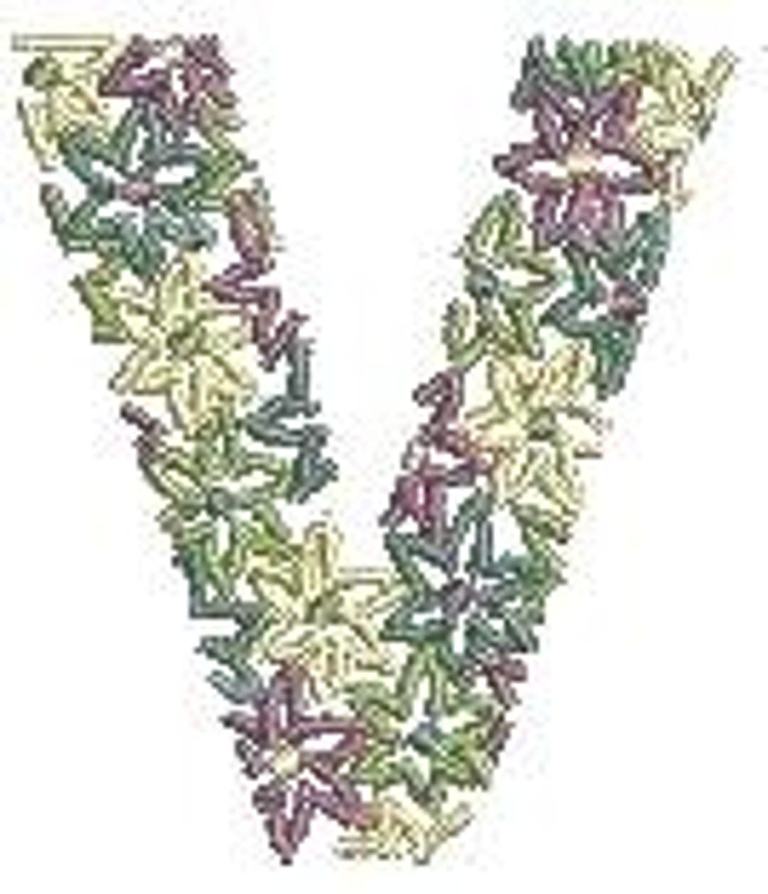 Letter V, Flower Alphabet Embroidery Designs, Machine Embroidery ...