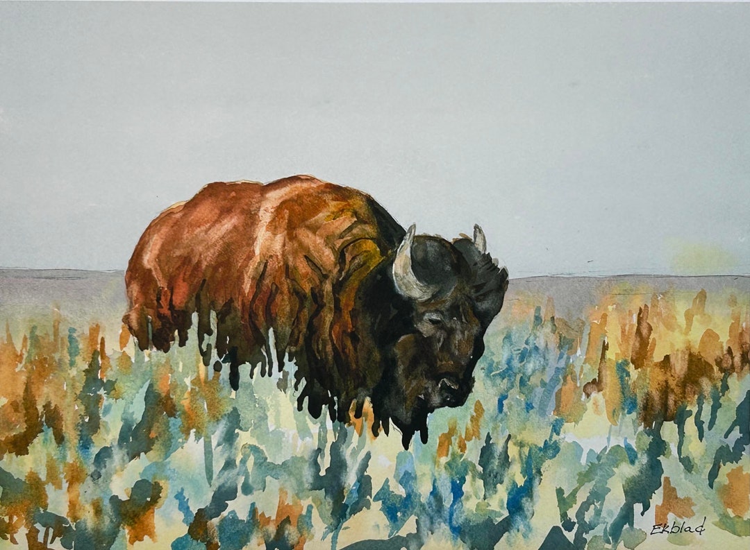 American Bison - Etsy