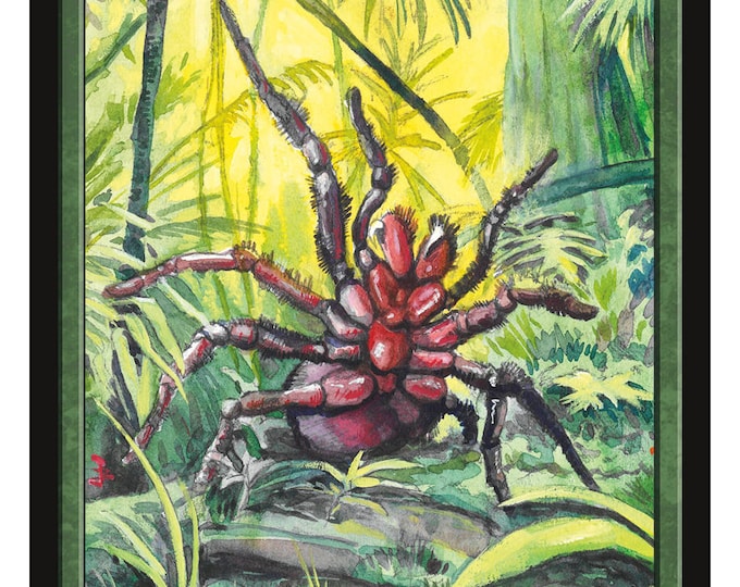 Mtg Spider 1/2 Token Alternative Art // Choose the Art! - for EDH ...