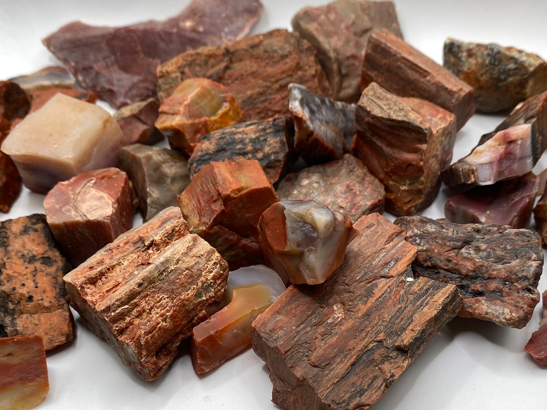 Gorgeous Rainbow Petrified Wood From Arizona - by the Ounce - You ...