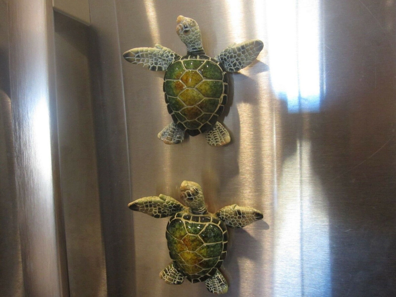 Green Sea Turtle Magnets for Fridge2 Pcs Home Decor/ Fine - Etsy