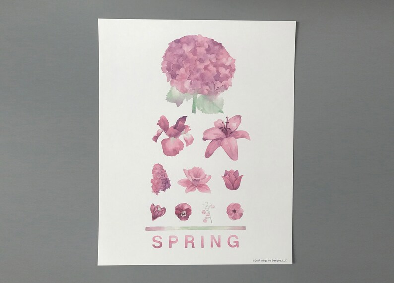Spring Seasonal Eye Chart 8x10 Print - Etsy