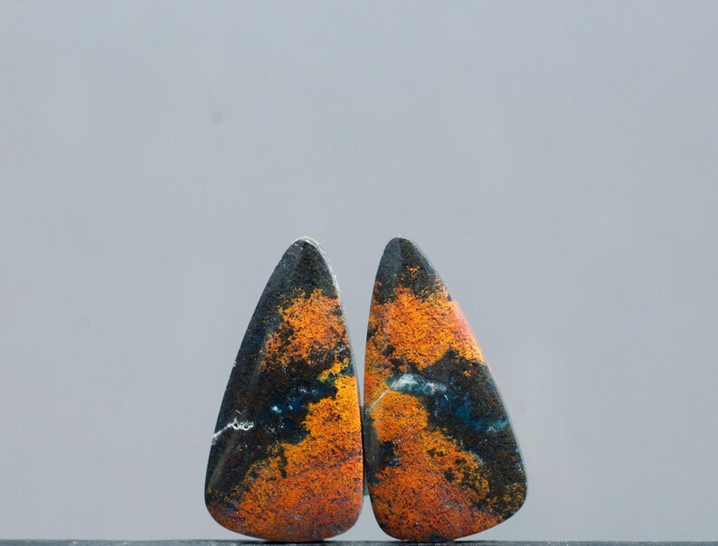 Blue Opalized Petrified Wood Earring Pair: Indonesian Gemstone Jewelry ...